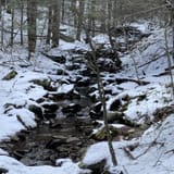 Echo Lake, New York - 480 Reviews, Map | AllTrails