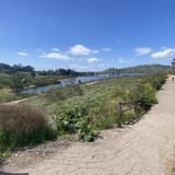 Lake Murray Trail, California - 4,005 Reviews, Map | AllTrails