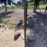 Lake Murray Trail, California - 4,005 Reviews, Map | AllTrails