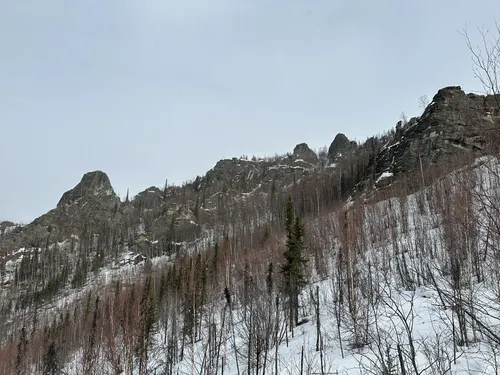 Best Hikes and Trails in Chena River State Recreation Area | AllTrails