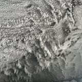 Castner Glacier Trail, Alaska - 679 Reviews, Map | AllTrails