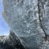 Castner Glacier Trail, Alaska - 679 Reviews, Map | AllTrails