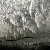 Castner Glacier Trail, Alaska - 679 Reviews, Map | AllTrails