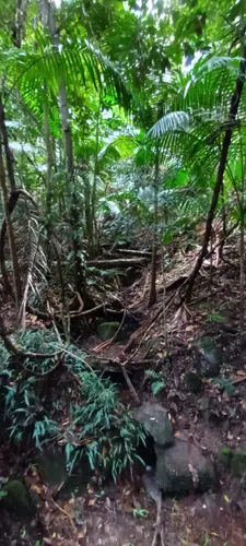Best Hikes and Trails in Katandra Reserve | AllTrails