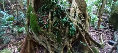 Best Hikes and Trails in Katandra Reserve | AllTrails