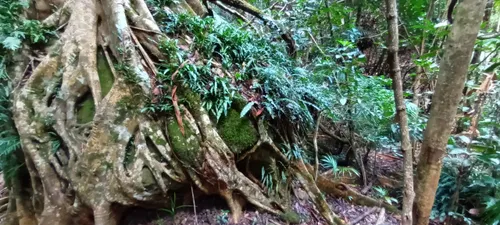 Best Hikes and Trails in Katandra Reserve | AllTrails