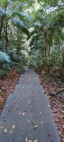 Best Hikes and Trails in Katandra Reserve | AllTrails