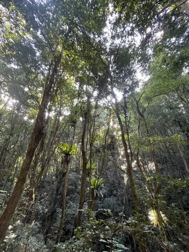 Best Hikes and Trails in Copeland Tops State Conservation Area | AllTrails