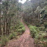 Chute Road and Mount Macedon Circuit, Victoria, Australia - 528 Reviews ...