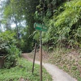 Penang Hill via Moongate - Wild Boar - Moniot, Penang, Malaysia - 267 ...