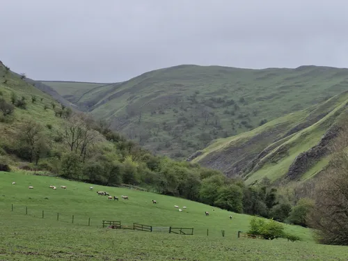 Best Cave Trails in Dovedale National Nature Reserve | AllTrails