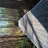 Green Swamp Preserve, North Carolina - 204 Reviews, Map | AllTrails