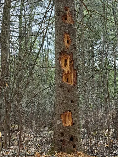 Best Hikes and Trails in Carp Hills Municipal Nature Reserve | AllTrails