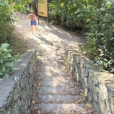 Reef Bay Trail, Saint John, US Virgin Islands - 971 Reviews, Map ...