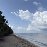 Reef Bay Trail, Saint John, US Virgin Islands - 1,096 Reviews, Map ...