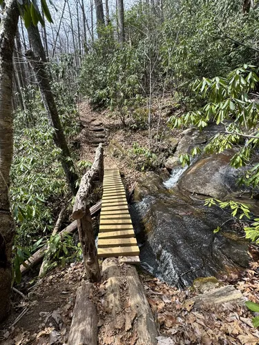 Best Hard Trails in Horse Shoe | AllTrails