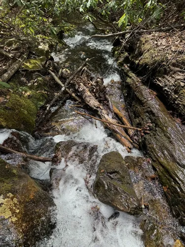 Best Hard Trails in Horse Shoe | AllTrails