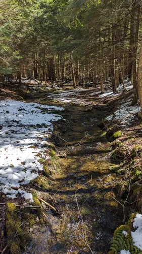 Best Hikes and Trails in Mount Vision | AllTrails