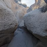 Grapevine Canyon Trail, Nevada - 542 Reviews, Map | AllTrails