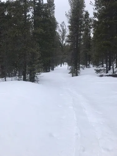 Best Off Road Driving Trails in Black Hawk | AllTrails