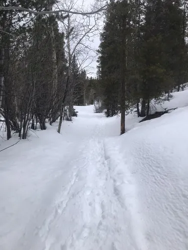 Best Off Road Driving Trails in Black Hawk | AllTrails