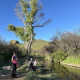 Second Water and Hackberry Spring Loop, Arizona - 2,026 Reviews, Map ...