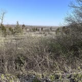 Castalia Quarry Reserve, Ohio - 680 Reviews, Map | AllTrails