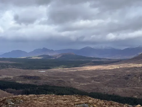 Best Forest Trails in Roy Bridge | AllTrails