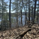 Hudson Pointe Nature Preserve, New York - 794 Reviews, Map | AllTrails