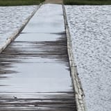 Oak Mott, Eskimo Curlew, and Clapper Rail Loop, Texas - 223 Reviews ...