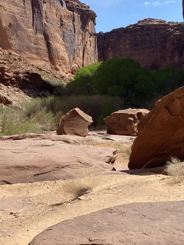 Best Bird Watching Trails in Bureau of Land Management: Moab Field ...