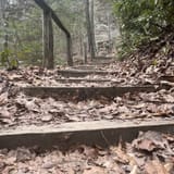 Original Natural Bridge Trail via Lake Side Trail, Kentucky - 2,248 ...