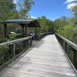 Gordon River Greenway, Florida - 927 Reviews, Map | AllTrails