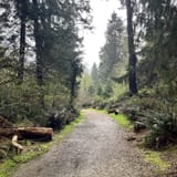 Point Defiance Park Outer Loop, Washington - 3,900 Reviews, Map | AllTrails