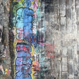 Edgecliff Loop, New York - 327 Reviews, Map | AllTrails