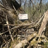 Edgecliff Loop, New York - 327 Reviews, Map | AllTrails