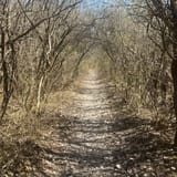 Edgecliff Loop, New York - 260 Reviews, Map | AllTrails