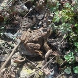 Edgecliff Loop, New York - 245 Reviews, Map | AllTrails