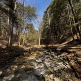 IBM Glen Loop, New York - 842 Reviews, Map | AllTrails