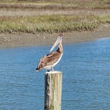 Murrells Inlet Marsh Walk and Veterans Pier, South Carolina - 94 ...