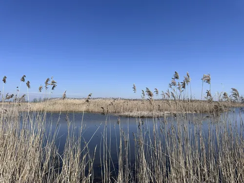 Best Hikes and Trails in Hillman Marsh Conservation Area | AllTrails