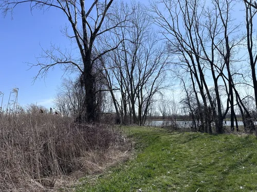 Best Hikes and Trails in Hillman Marsh Conservation Area | AllTrails