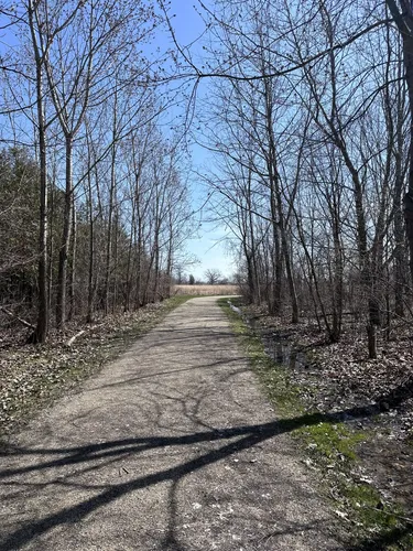 Best Hikes and Trails in Hillman Marsh Conservation Area | AllTrails