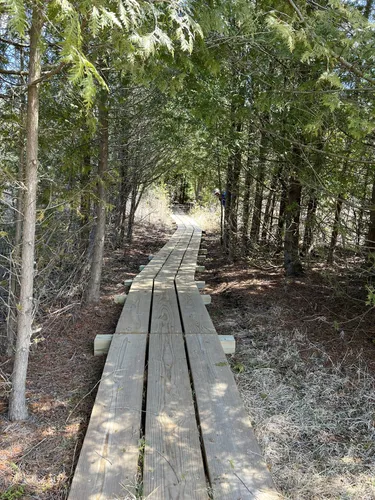 Best Hikes and Trails in Legacy Nature Preserve | AllTrails