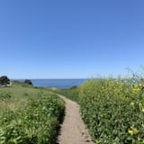 Malaga Lunada Vista Loop, California - 358 Reviews, Map | AllTrails