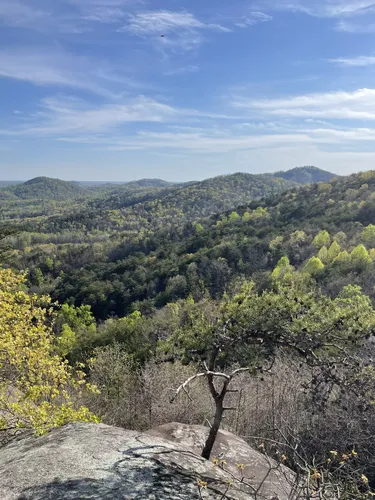 Best Hikes and Trails in Nine Times Preserve | AllTrails