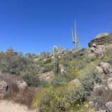Granite Mountain Loop, Arizona - 3,197 Reviews, Map | AllTrails