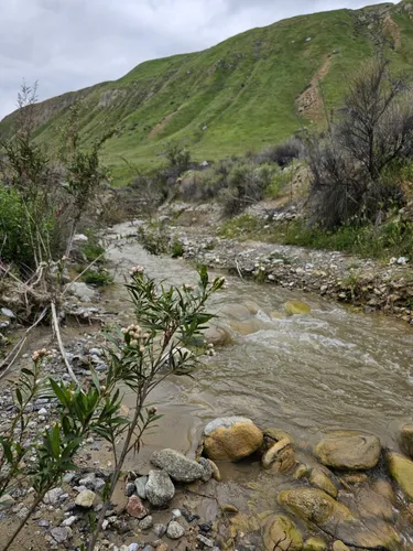 Best Walking Trails in Wind Wolves Preserve | AllTrails