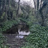 Chew Magna and Sacred Heart Circular, Somerset, England - 170 Reviews ...