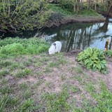 Chew Magna and Sacred Heart Circular, Somerset, England - 137 Reviews ...